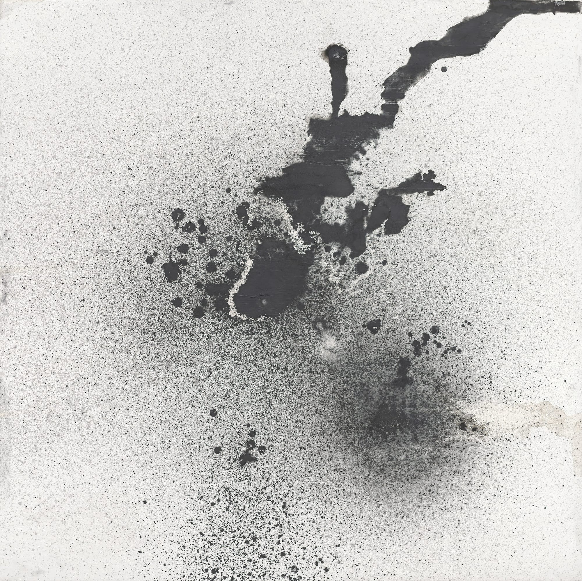 Artists of 2025: Gala Porras-Kim